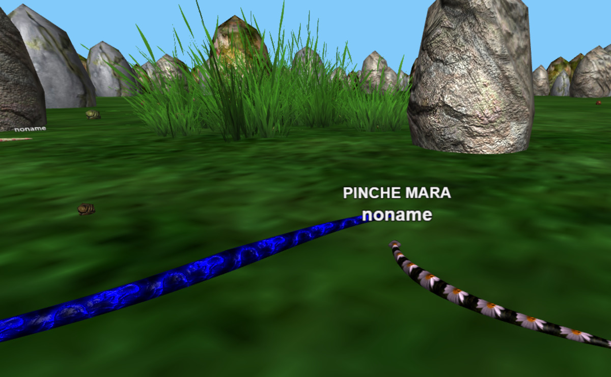 Snakes3D - Jouez gratuitement à Snakes3D sur Jeu.cc