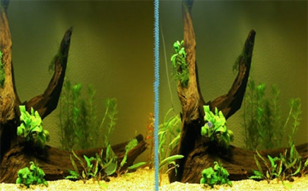 Aquarium Differences - Jouez gratuitement à Aquarium Differences sur Jeu.cc Aquarium Differences - Jouez gratuitement à Aquarium Differences sur Jeu.cc