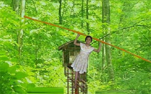 Bamboo balance - Jouez gratuitement à Bamboo balance sur Jeu.cc