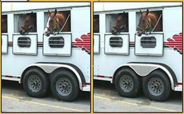 Les différences - Chevaux - Jouez gratuitement à Les différences ... Les différences - Chevaux - Jouez gratuitement à Les différences ...